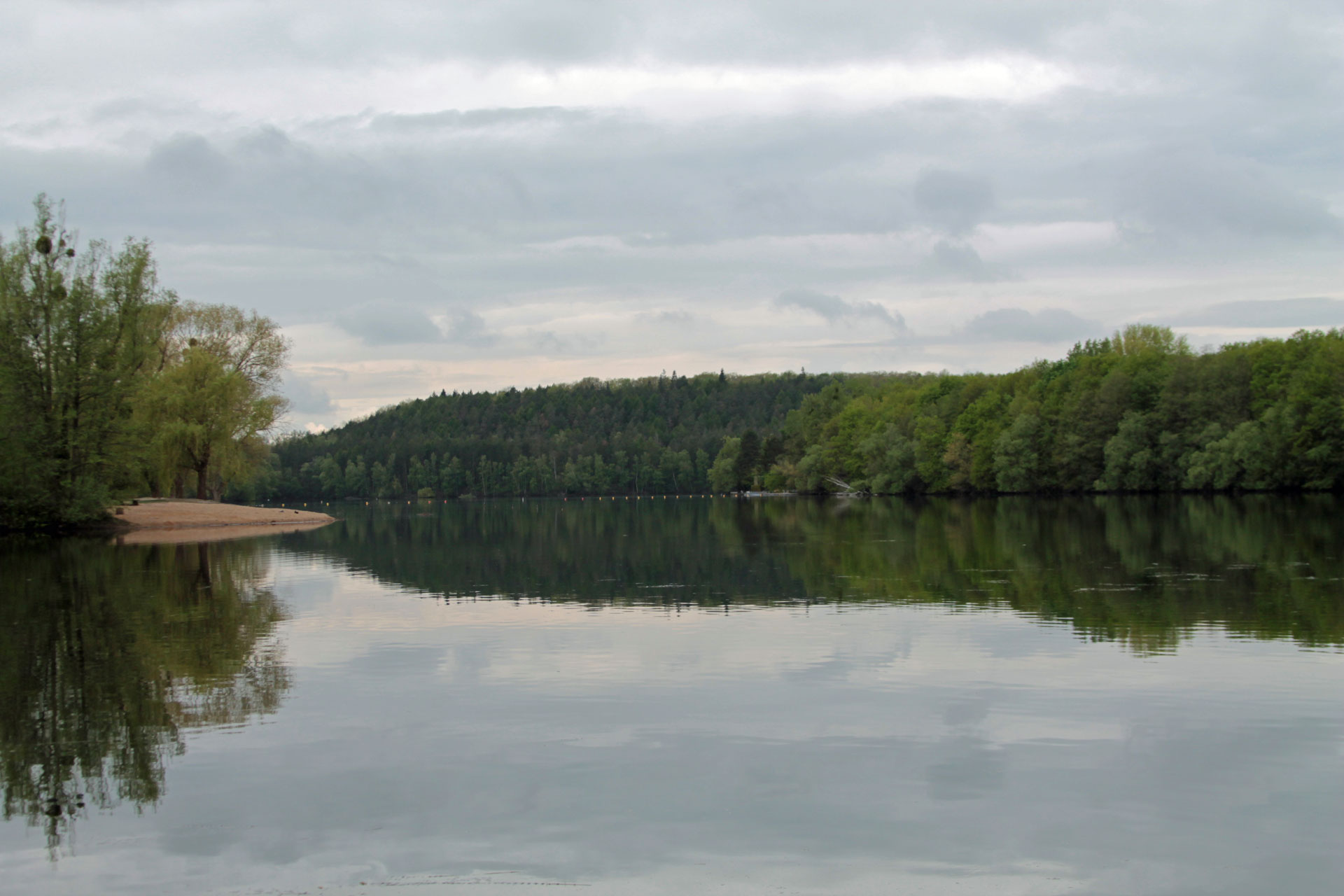 Unterwegs am Heider Bergsee und in Brühl-Heide – FUNDOGS-COLONIA